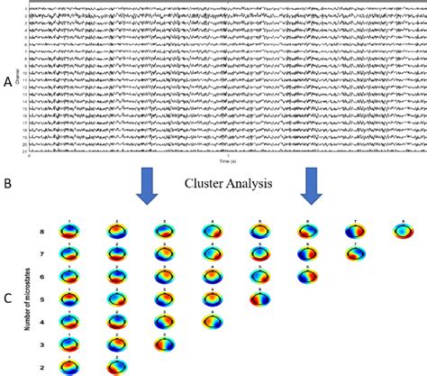 Steps In Microstate Analysis Download Scientific Diagram