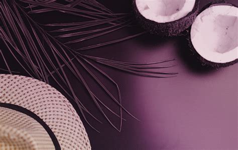 네온 조명 여름 구성 어두운 배경에 열대 야자수 잎 모자 코코넛 여름 시즌 파티와 열의 개념 플랫 레이 상단 보기 복사 공간 0명에 대한 스톡 사진 및 기타 이미지 Istock