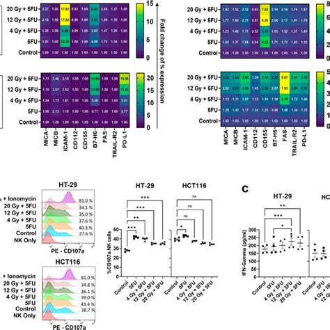Chemo Irradiation Induces Nk Cells Ligands A Nk Cell Ligands
