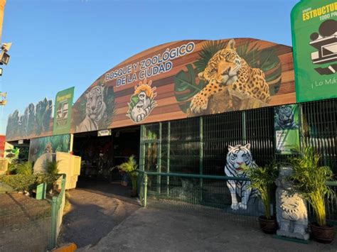 Mexicali Te Espera Con Desierto Arte Y Buena Comida