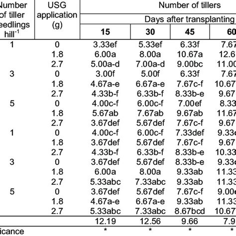 Interaction Effect Of Age Of Tiller Seedlings And Number Of Tiller