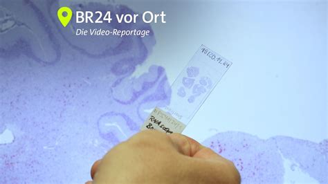 Lisa Maria Potthoff über Den Kampf Mit Dem Inneren Schweinehund Br24