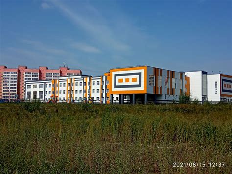 Средняя общеобразовательная школа № 217 Новосибирск