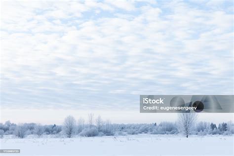 흐린 푸른 하늘 아래 눈 덮인 들판과 벌거벗은 나무가 있는 시골 겨울 풍경 0명에 대한 스톡 사진 및 기타 이미지 0명
