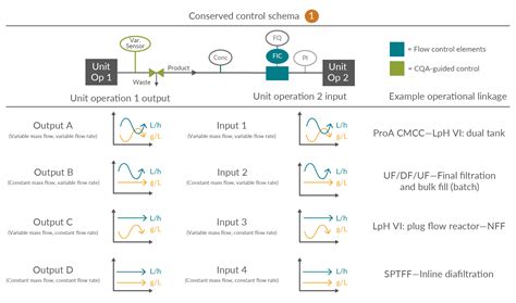 Developing Implementing A Continuous Bioprocess Control Strategy