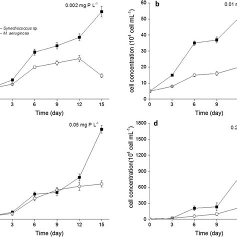 Cell Concentrations Of Synechococcus Sp And M Aeruginosa In