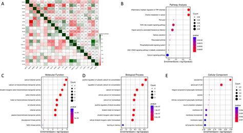 Enrichment Analysis Of TRP Channels DEGs A Correlation Between Each Download Scientific