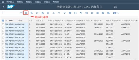 abap debug：debug方式调整se16修改表数据 abap中debug过程中怎么改数 csdn博客