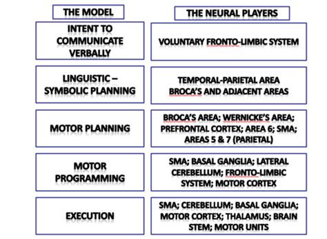 Speech Science Topic Speech Production Models Flashcards Quizlet