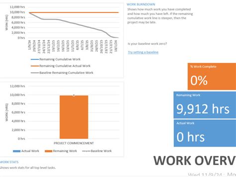project schedule tracking resource management and visual report upwork