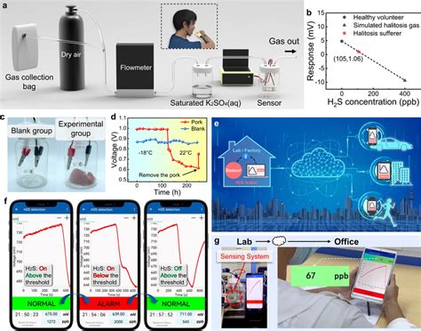 h2s detection application scenarios a schematic diagram of halitosis