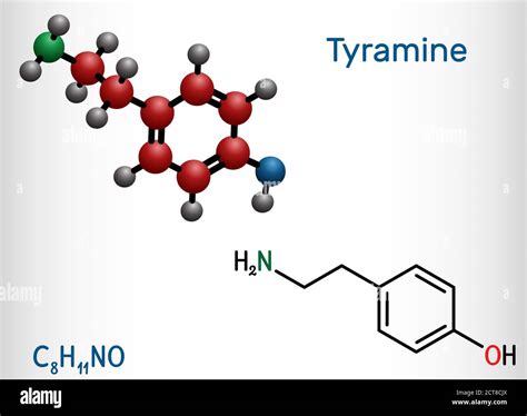 Tyramine Tyramin Molecule It Is Monoamine Compound Derived From Tyrosine Structural Chemical