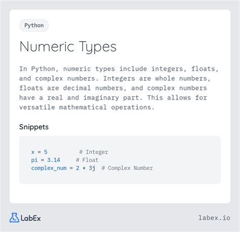 Numeric Types