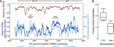 Recombination Rates Sequence Similarity And Rna Secondary Structure Download Scientific