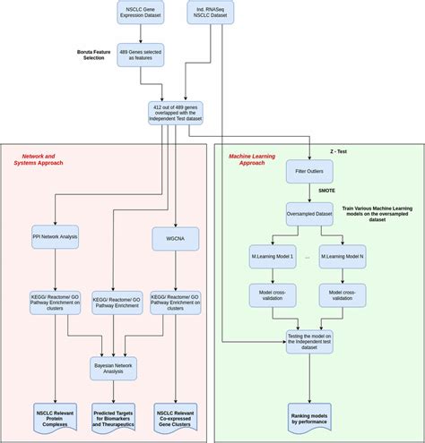 An Overview Of The Workflow To Analyze The Merged Nsclc Transcriptome