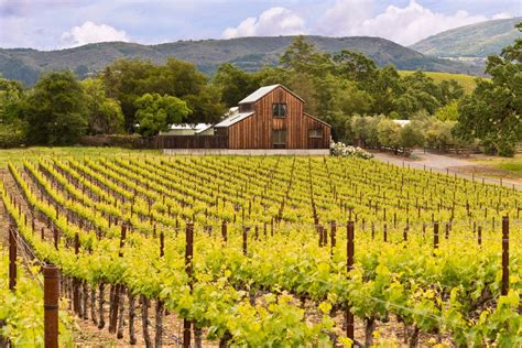 The Silverado Trail Wine Tasting Tour Southern Trail Tasting Favorites
