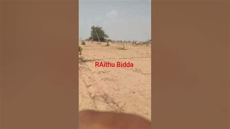 Raithu Bidda 🌳🥭🌳 Youtube