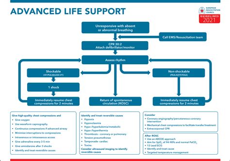 Обновленные гайды Erc по базовой реанимации обзор нововведений