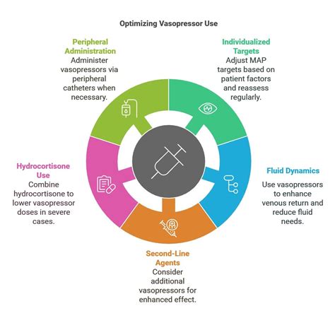 Optimizing Vasopressor Use In Critical Care Gh Pdyzh 1