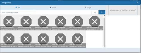 Cannot See Uploaded Image · Issue 4233 · Bookstackappbookstack · Github