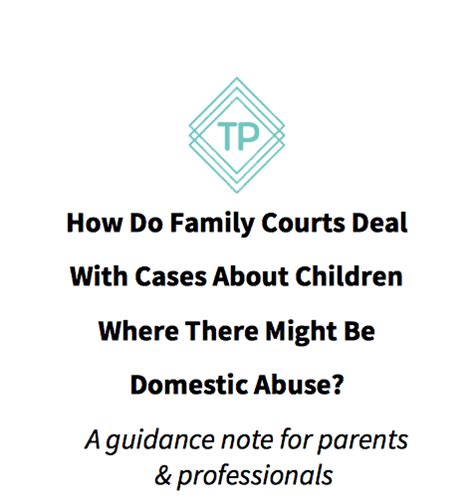 Domestic Abuse Guidance Note The Transparency Project