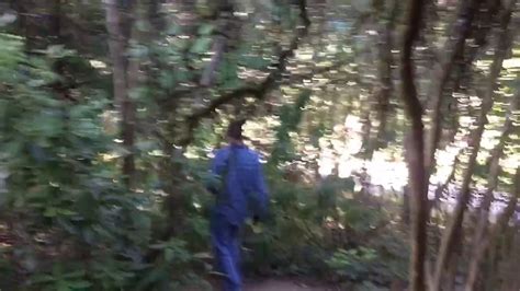IMG 1731 YouTube