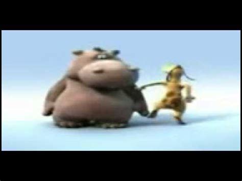 Hipopotamo Cantando Y Perro Bailando Youtube