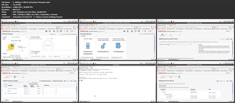 Oracle Database Managing Multitenant Architecture Softarchive