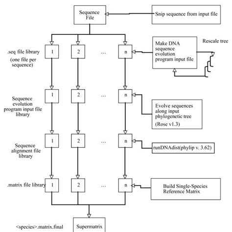 Program Flow The Diagram Indicates The Simulation Program Flow Used To