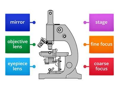 Microscope Teaching Resources