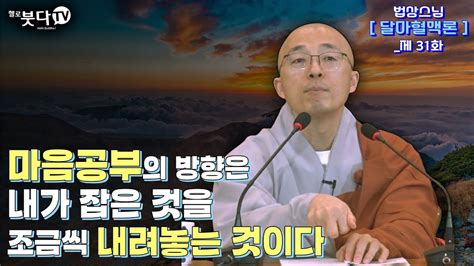 마음공부의 방향은 내가 잡은 것을 조금씩 내려놓는 것이다 마음공부 인생조언 깨달음 불교 지혜 말씀 고민 상담 법상스님 행복한 마음공부 달마혈맥론 31회 Youtube