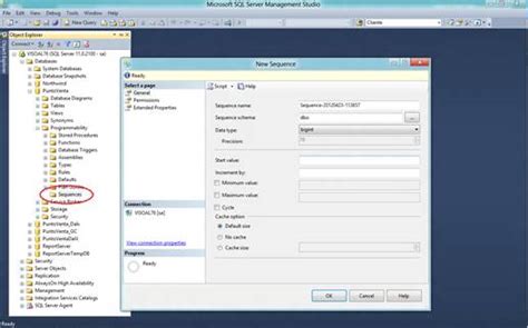 Visoal By Vhcardenas Sequences En Sql Server 2012