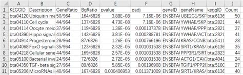 基于r的ggplot2包画kegg富集通路气泡图 Keggdot Twocaniss Blog