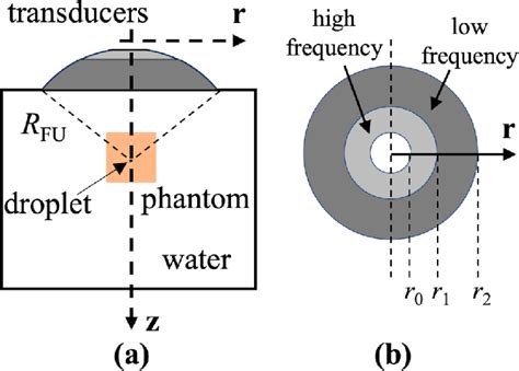 Schematic Diagram Of Dual Frequency Focused Ultrasound Model A The