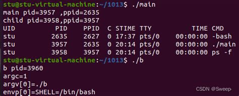 Linux——进程替换exec、exec系列函数、习题演示linux Exec函数例题 Csdn博客