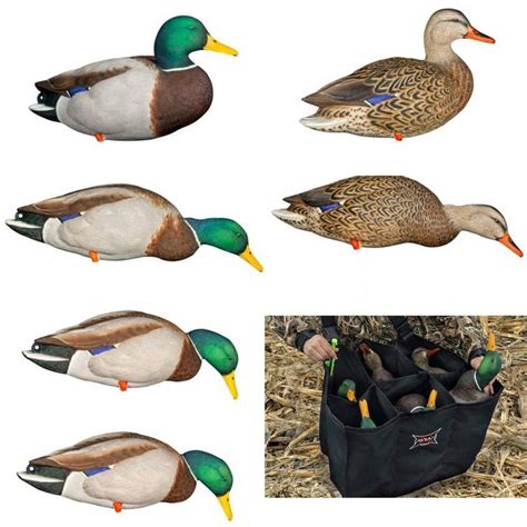 Avian X Full Body Decoys Mallard 6 Pkbody Full Avian Avian