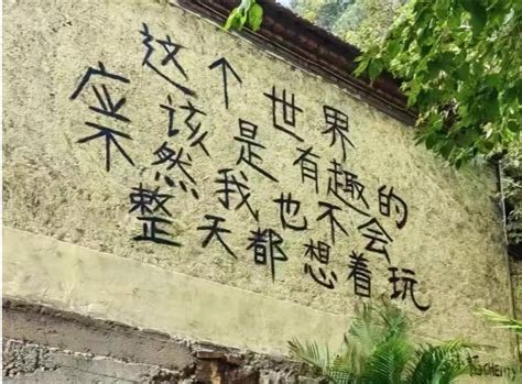 开启“自由”之路 知乎