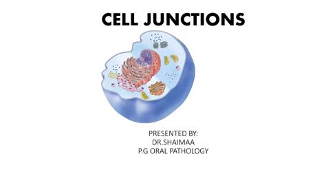 Cell Junctions Ppt Pptx