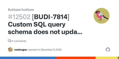 Budi 7814 Custom Sql Query Schema Does Not Update When The Query Body