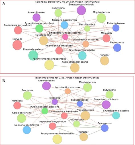 Co Occurrence Networks Of Connected Microbial Clusters Modules In The