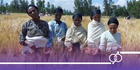 Gender In Crop Improvement And Technology Development