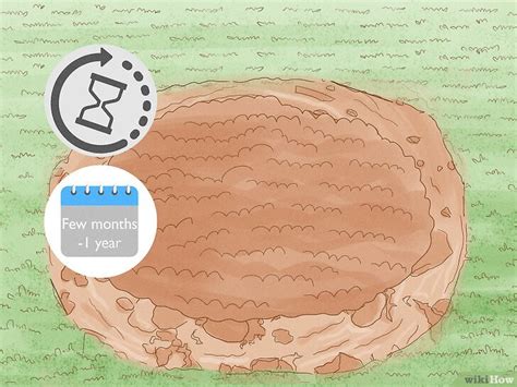 How To Make A Compost Pit A Guide For Backyard Gardening