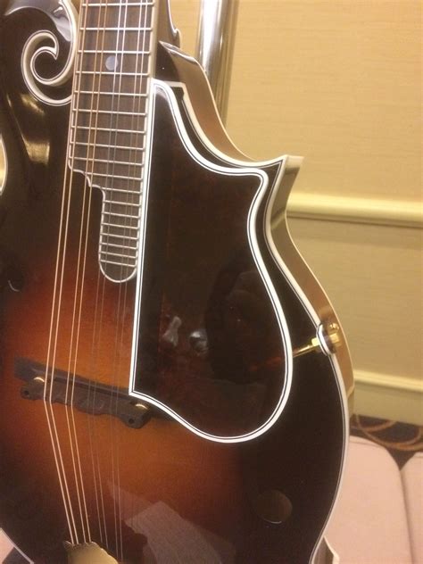 Celluloid Mandolin Pickguard At Linda Platt Blog