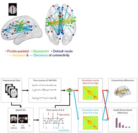 Dynamic Brain Functional Connectivity Modulated By Resting State