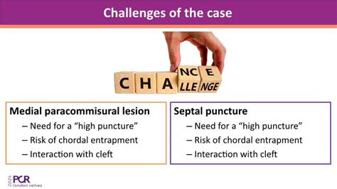 Transforming Interventional Care For Patients With Mitral Regurgitation Simulation And Case