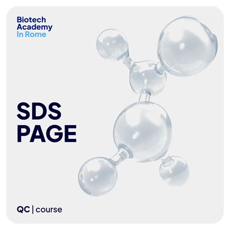 Sds Page Biotech Academy In Rome