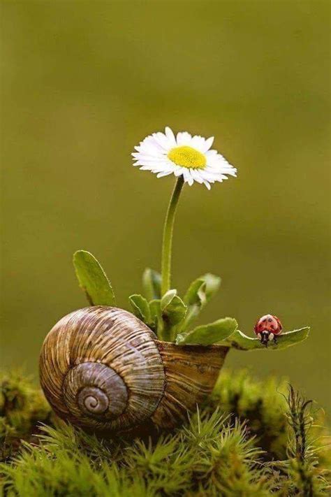 ლამაზი ფოტოები