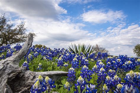 Texas Parks And Wildlife Department Linkedin