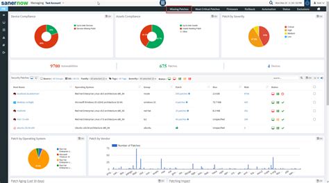 How To Perform Custom Remediation For Applications That Require Paid Patches Using Sanernow Pm
