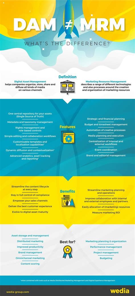 Infographic Dam Vs Mrm Whats The Difference